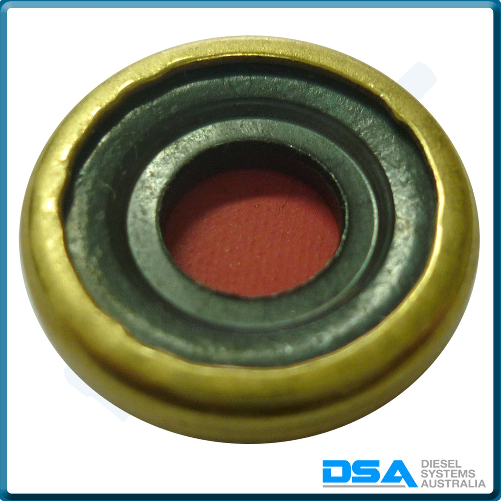 Non Return & Flutter Valves — Diesel Systems Australia
