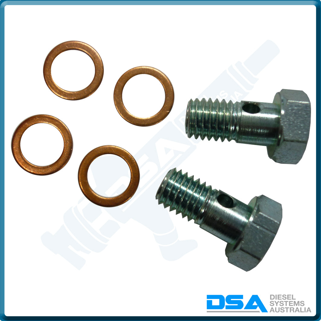 PI-7728 KIT Banjo Bolt (8x1.25mm) & Washer Kit — Diesel Systems Australia